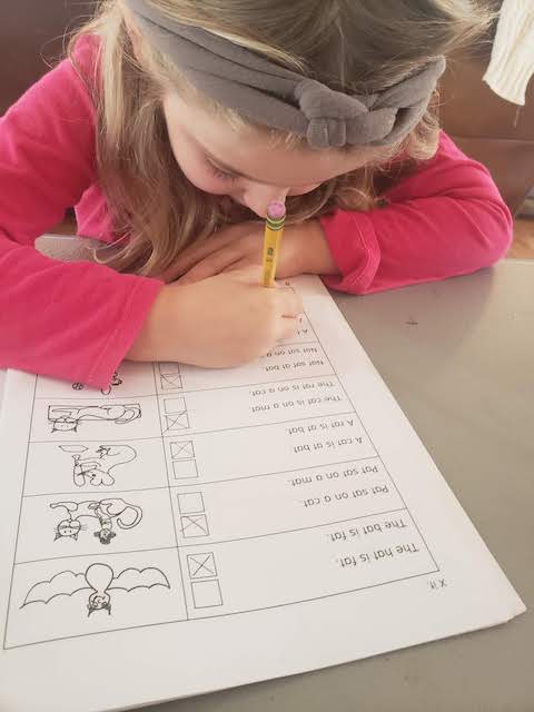 Explode the Code Review: A Top Homeschool Phonics Curriculum - The ...