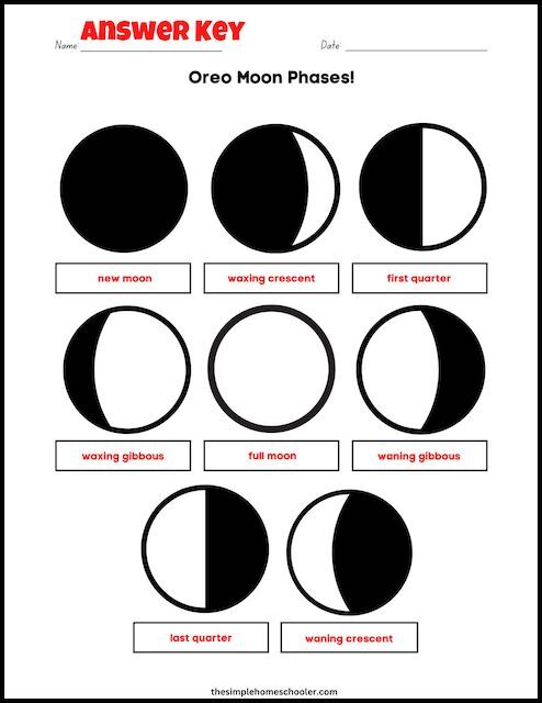 Oreo Phases Of The Moon Activity