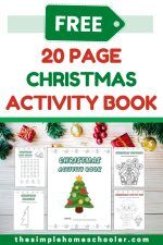 Festive Free Christmas Activity Booklet Printable - The Simple Homeschooler
